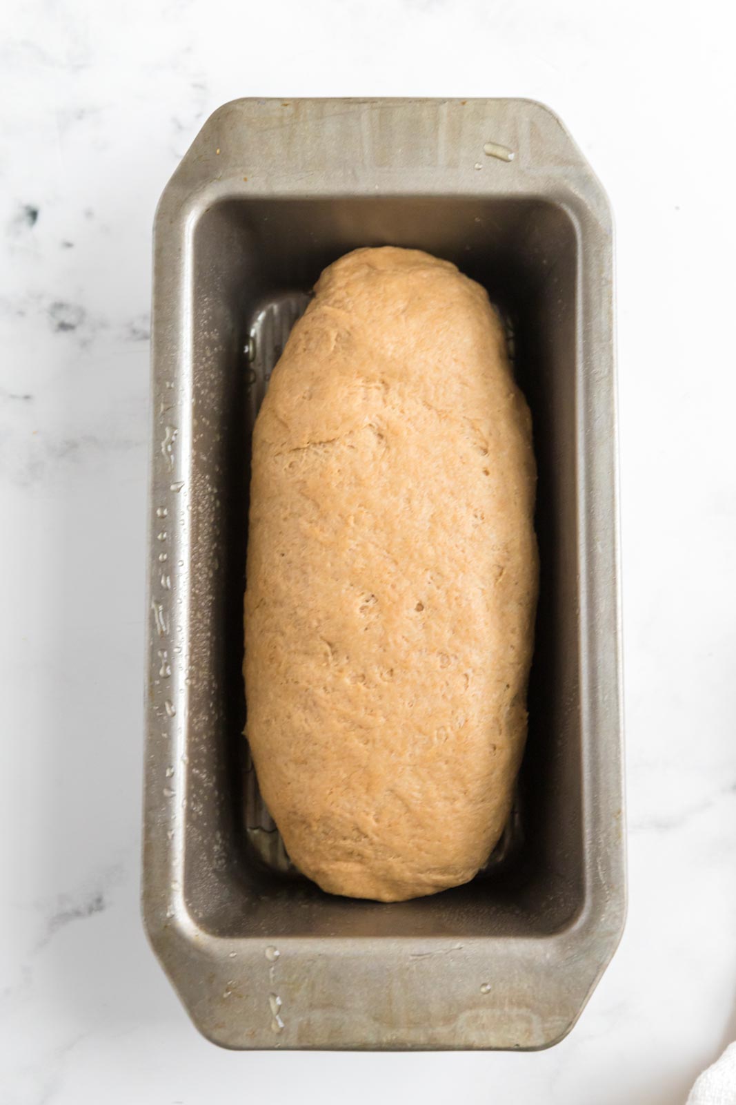 Honey Wheat Bread - The Dough Dabbler